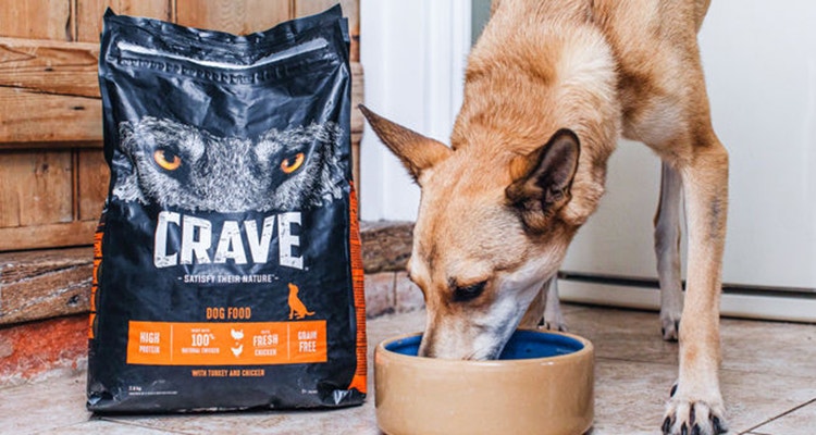 CRAVE™ High Protein Dog Food | CRAVE™ Pet Food UK| Dog Tips | Blog ...