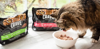 High-protein Meaty Dog and Cat Food | CRAVE™